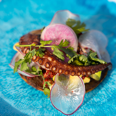 The Snack Poolside Snack Bar in Cancun | Garza Blanca Resort